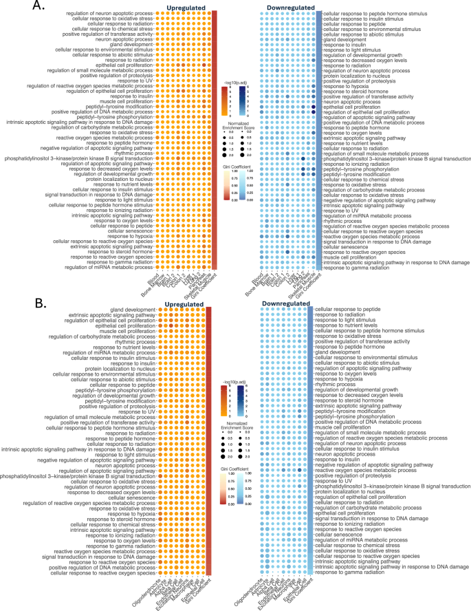 Human Cell Aging Transcriptome Atlas (HCATA): a single-cell atlas of ...