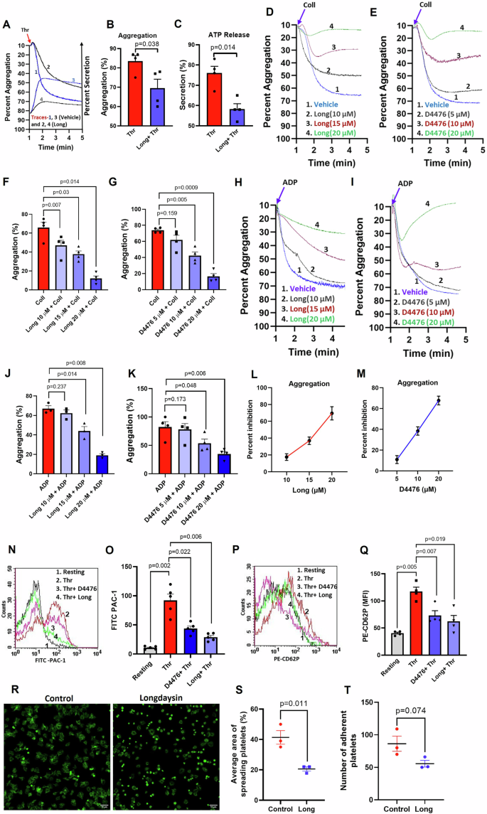 Casein kinase I isoforms contribute to platelet activation and ...
