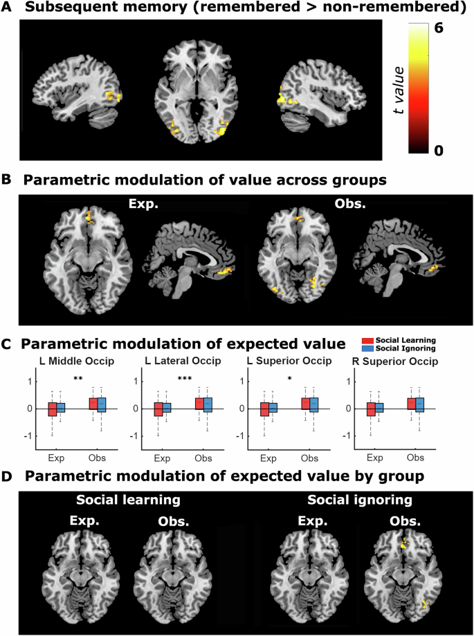 Observational learning strategies impact the neural correlates of ...