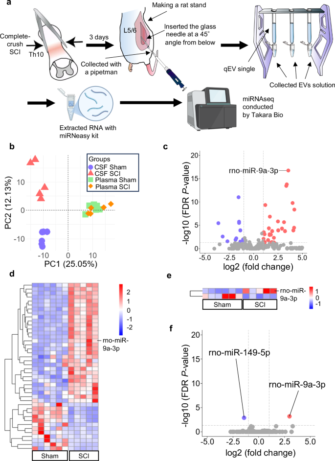 Cerebrospinal fluid extracellular vesicle-derived miR-9-3p in spinal ...