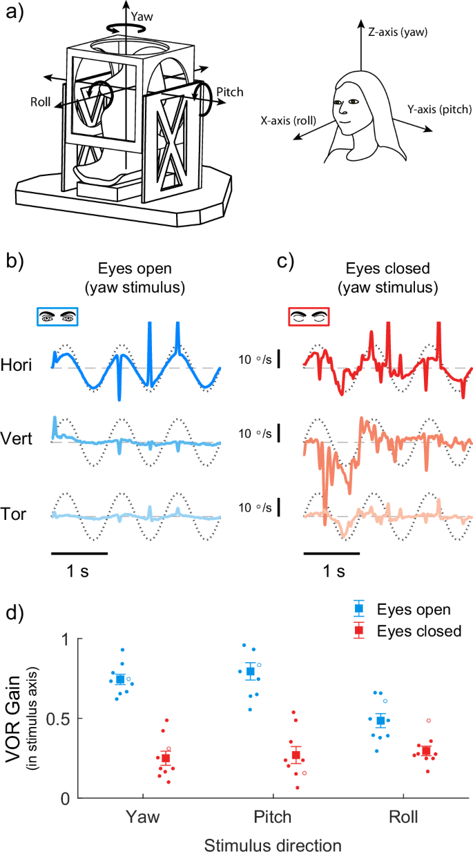 Rapid switching of vestibulo-motor pathways through voluntary eyelid ...
