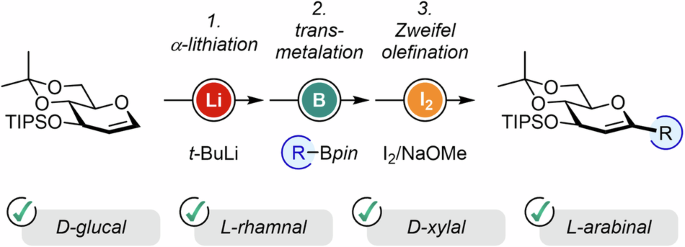 Zweifel olefination for C-glycosylation | Communications Chemistry