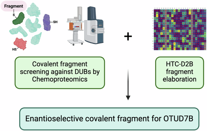 Enantioselective OTUD7B fragment discovery through chemoproteomics screening and high-throughput ...