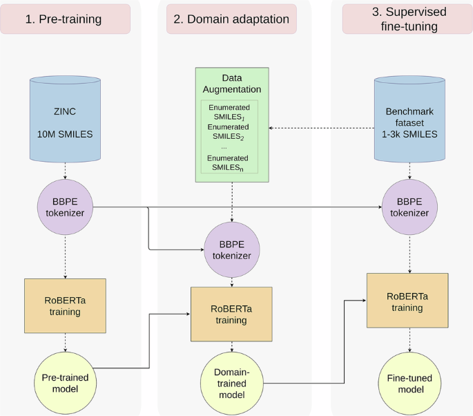 Domain adaptable language modeling of chemical compounds identifies ...