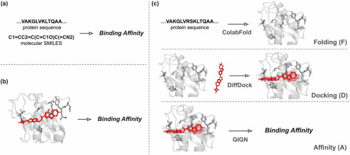 A Folding-Docking-Affinity framework for protein-ligand binding affinity prediction ...