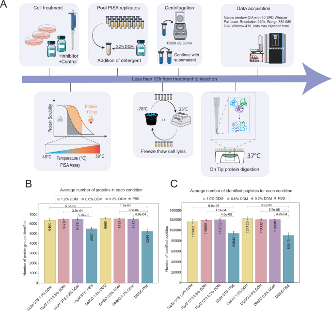 High-throughput proteome integral solubility alteration assay for low cell input using One-Tip ...