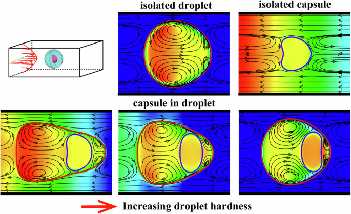 Droplets can enhance microcapsule deformation in channel flow ...