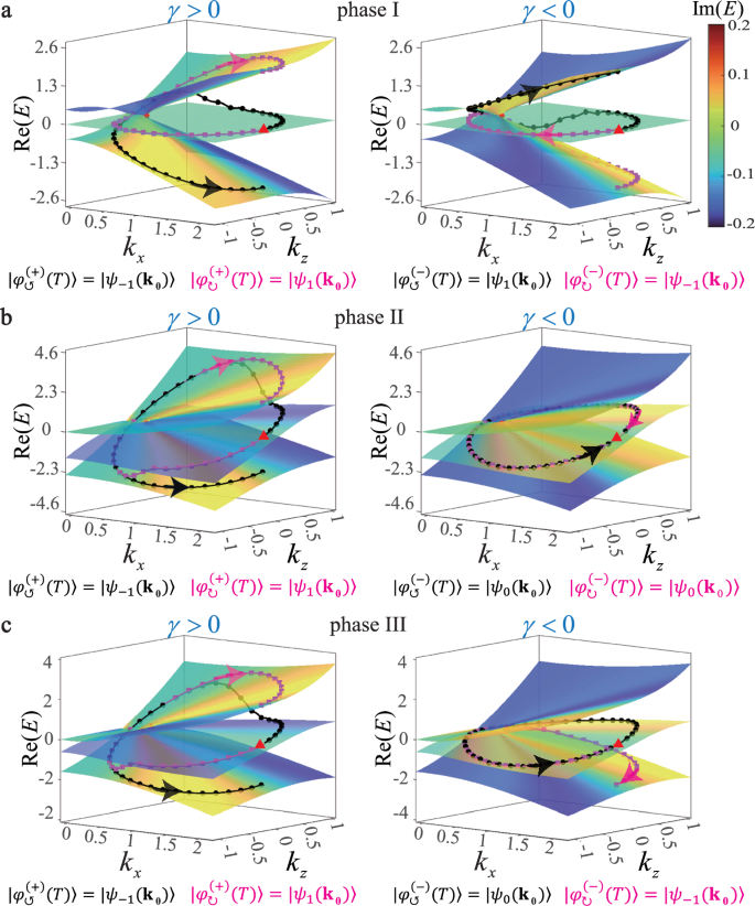Topological dynamics and correspondences in composite exceptional rings | Communications Physics