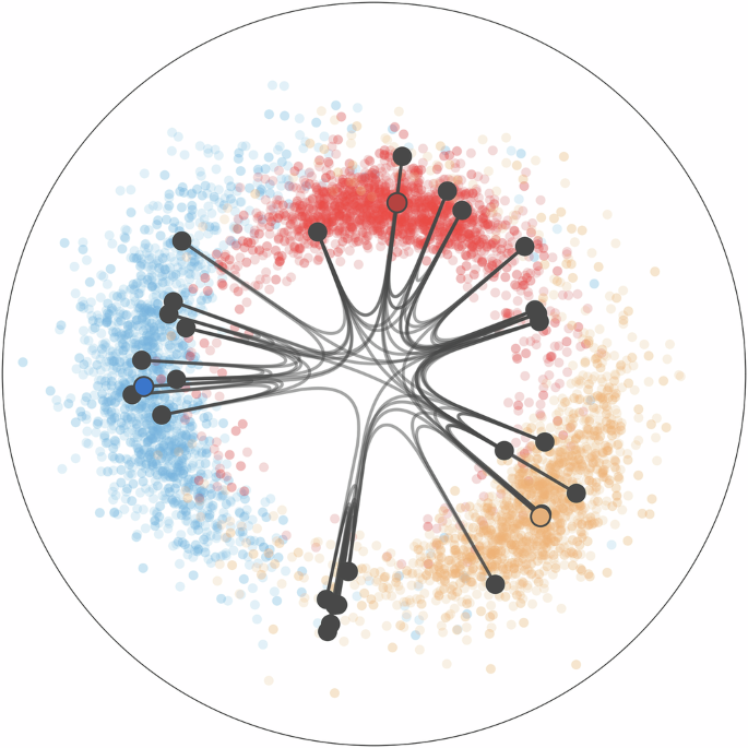 Symmetry-driven embedding of networks in hyperbolic space | Communications Physics