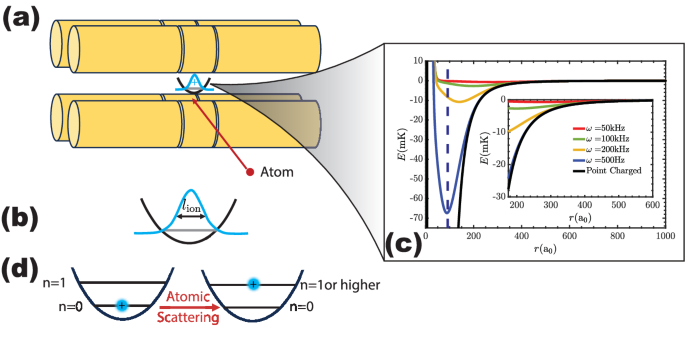 Effects of the delocalized charge distribution in trapped ion-atom ...