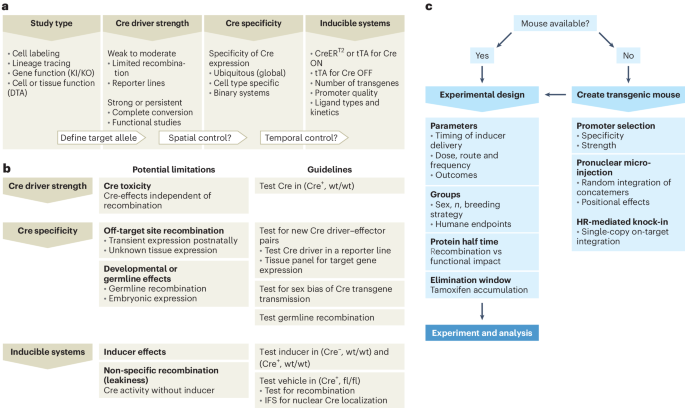 A safety guide for transgenic Cre drivers in metabolism | Nature Metabolism