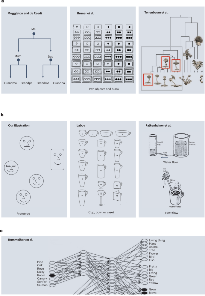 Aligning generalization between humans and machines | Nature Machine Intelligence