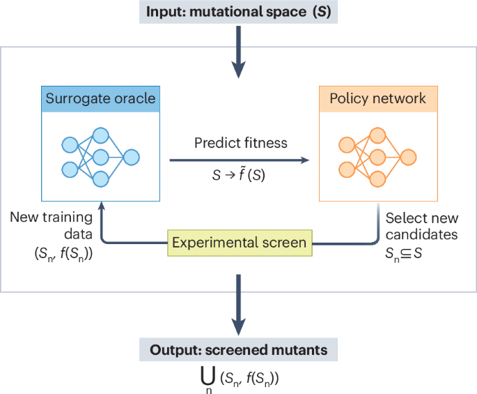 An integrated framework to accelerate protein design through ...