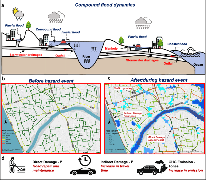 Local damages drive network-wide costs in compound flood-prone coastal ...