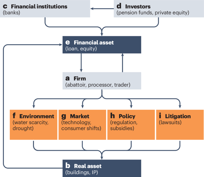 Asset stranding could open new pathways to food systems transformation ...