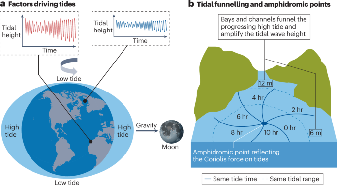 Why do tides vary regionally? | Nature Reviews Earth & Environment