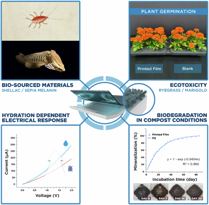 Electrical response and biodegradation of Sepia melanin-shellac films ...