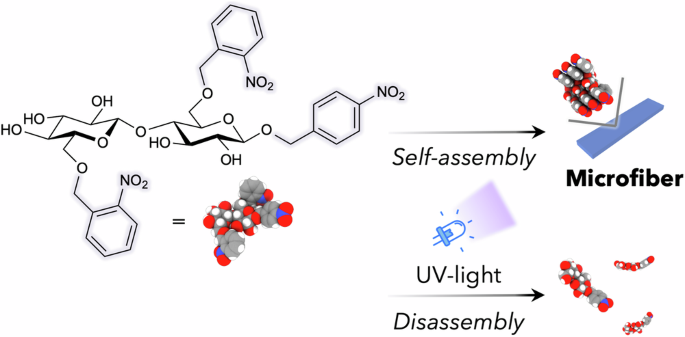 Photodegradable glyco-microfibers fabricated by the self-assembly of ...