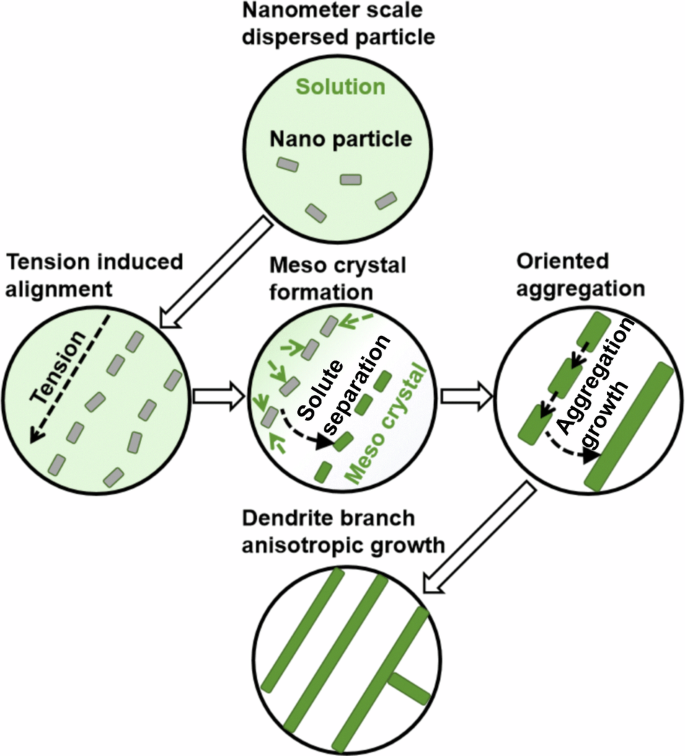 Continuous 1D single crystal growth with high aspect ratio by oriented ...