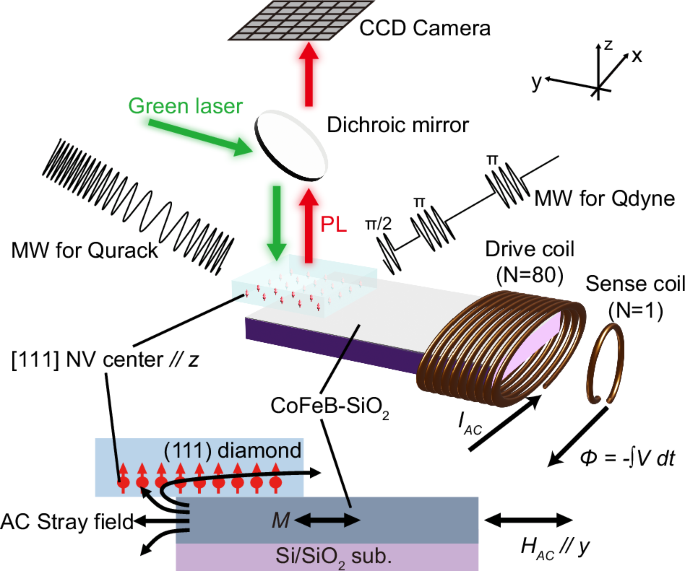 Imaging AC magnetization response of soft magnetic thin films using diamond quantum sensors ...