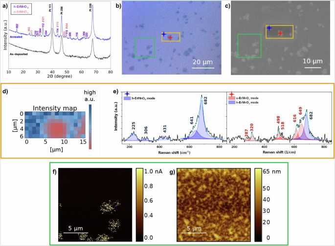 Valence-change bipolar resistive switching devices based on ErMnO3 ...