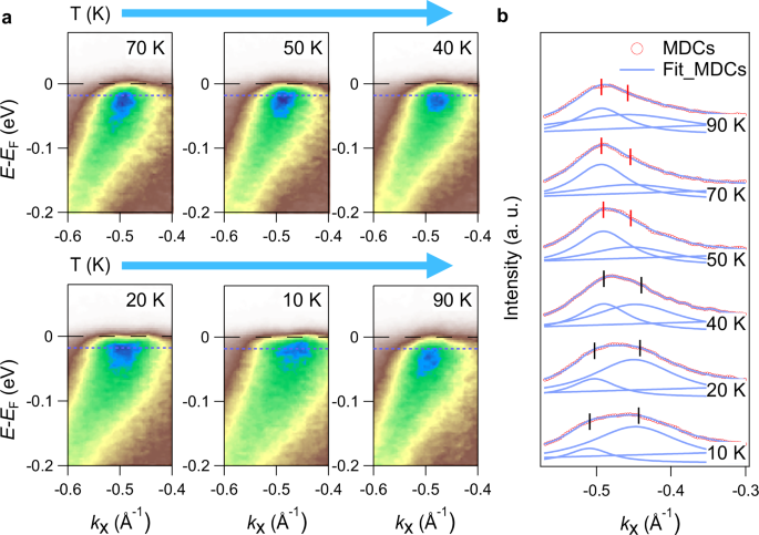 Hund’s rule coupling and interlayer hybridization of intercalated transition metal ...