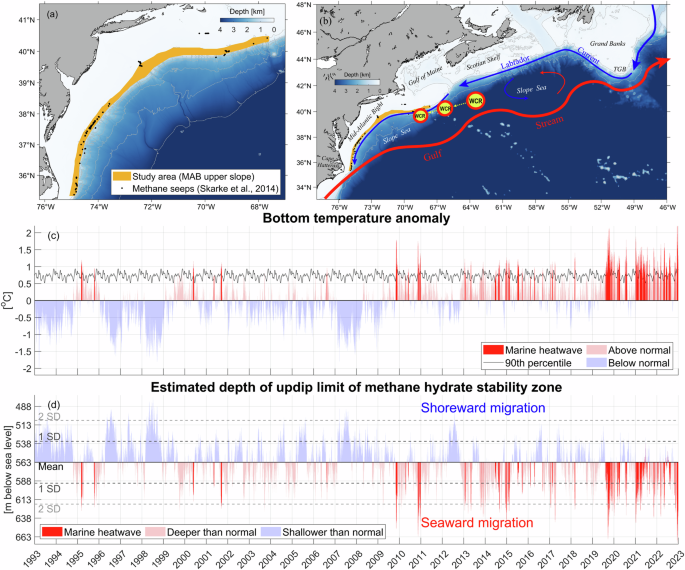 Gulf Stream mesoscale variabilities drive bottom marine heatwaves in ...