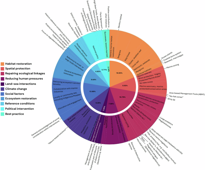 Defining marine rewilding can help guide theory and practice in marine ...
