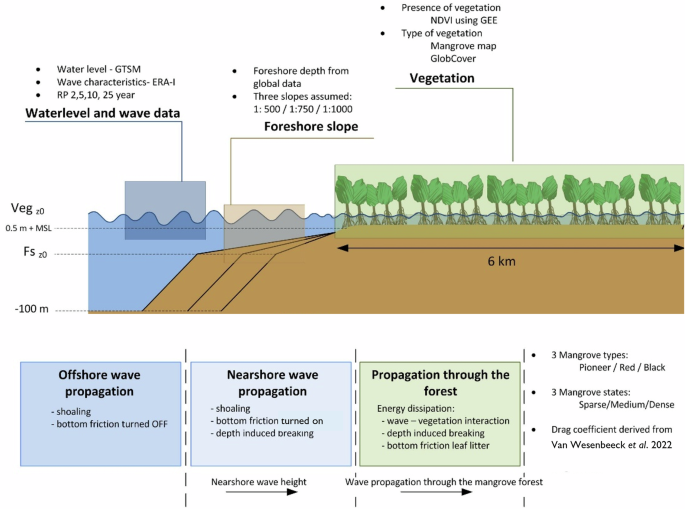 Quantifying uncertainty in wave attenuation by mangroves to inform ...
