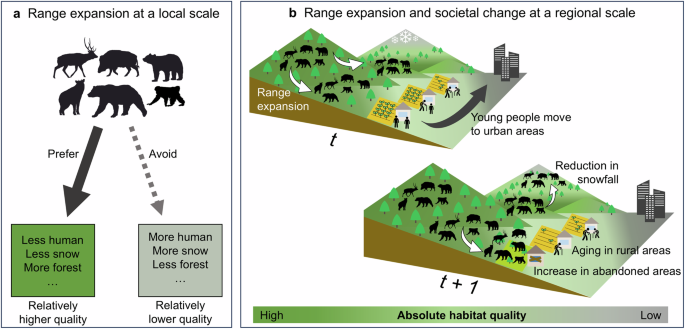 The range of large terrestrial mammals has expanded into human ...