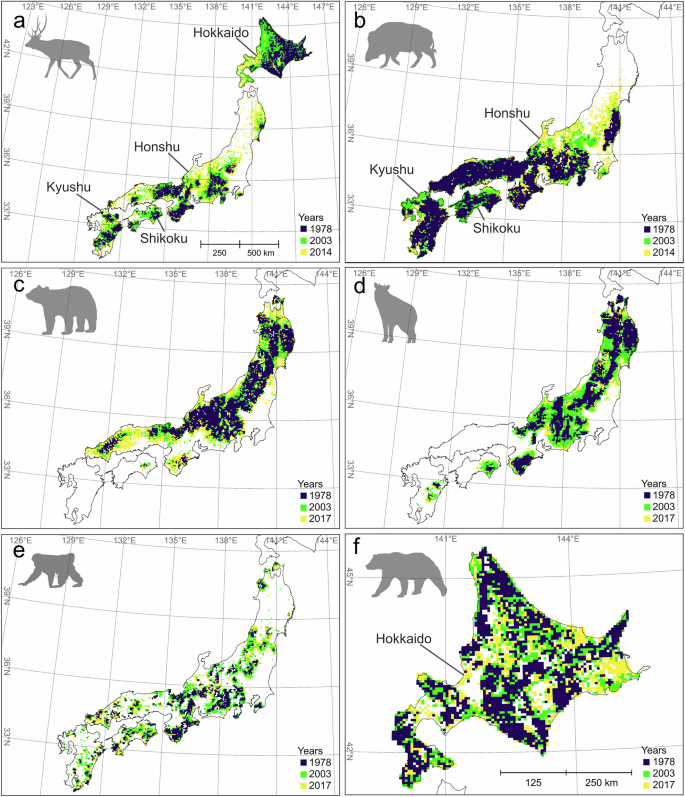 The range of large terrestrial mammals has expanded into human ...