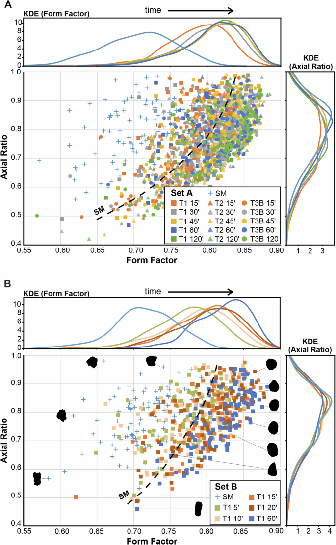 Shape evolution of pumice during granular flow | Communications Earth ...