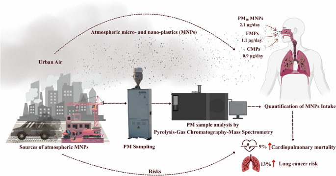 Composition, interactions and resulting inhalation risk of micro- and ...