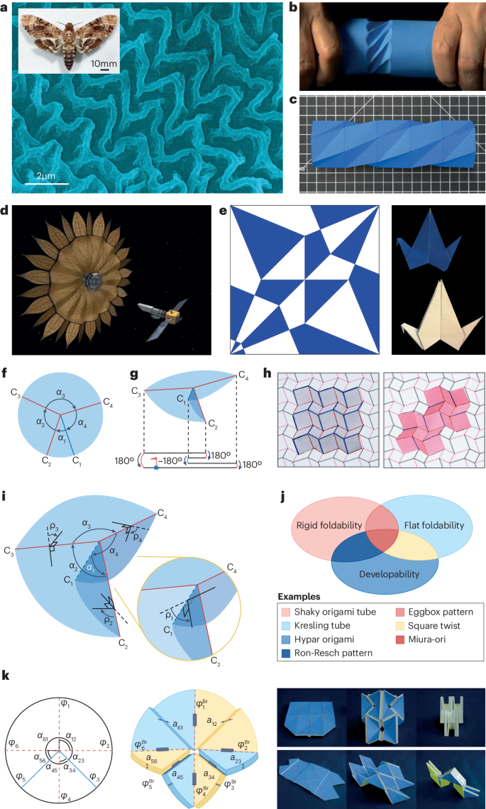 Origami In Nature Free Origami Art Creation Image | Download At