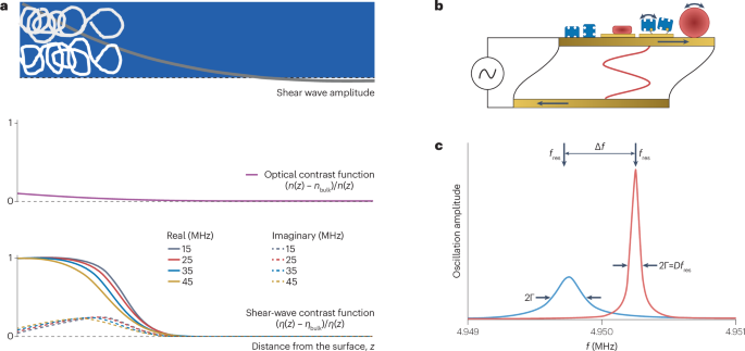 Quartz crystal microbalance with dissipation monitoring for studying ...