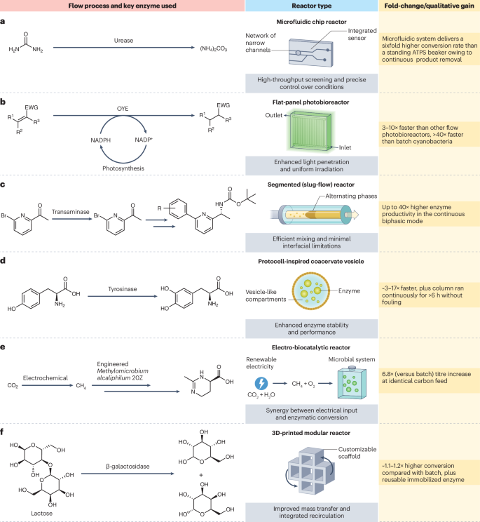 Flow biocatalysis | Nature Reviews Methods Primers