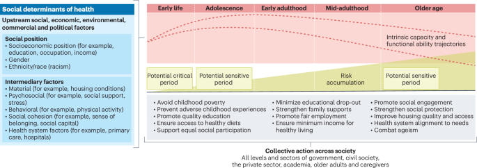 Life-course approaches are needed to foster equitable healthy aging ...