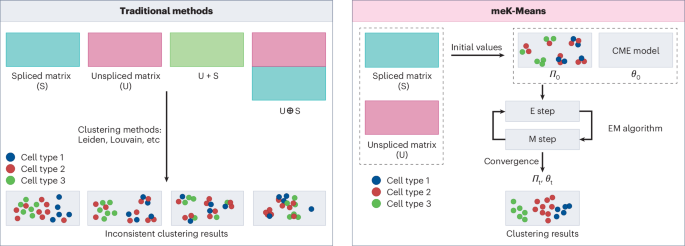 Delineating cell types with transcriptional kinetics | Nature ...