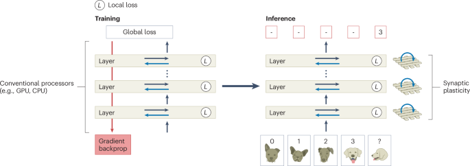 Neuromorphic principles in self-attention hardware for efficient ...