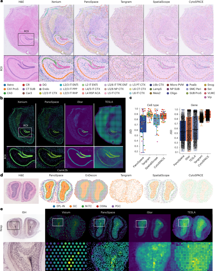 Unlocking single-cell level and continuous whole-slide insights in ...