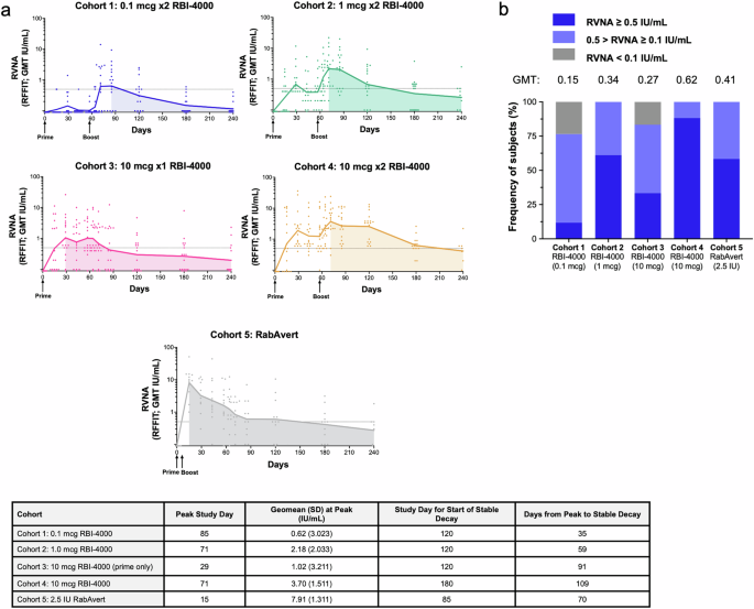 Durability of next-generation self-replicating RNA vaccine RBI-4000: a ...