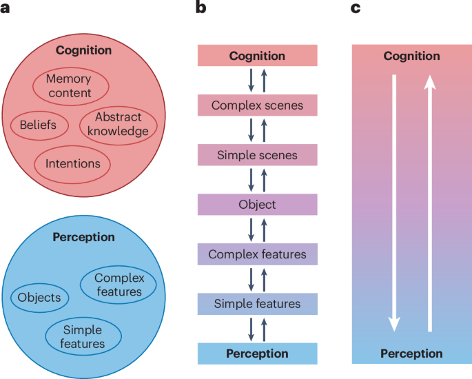 Evaluating cognitive penetrability of perception across the senses ...