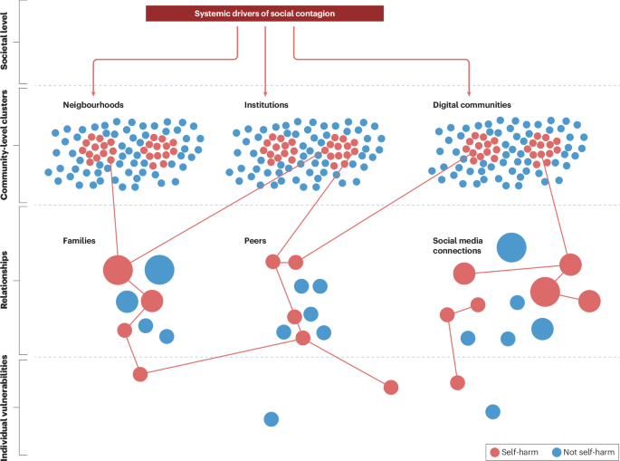 A social ecological approach to social contagion of self-harm among ...