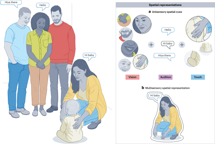 The development of spatial perception with and without visual ...