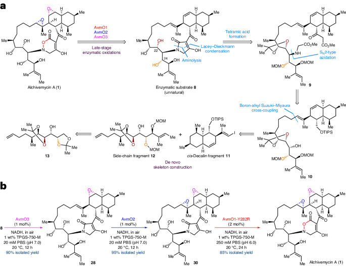 Total synthesis of alchivemycin A using a chemoenzymatic strategy ...