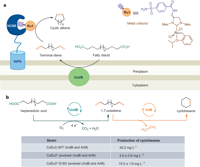Microbial cell factories for cycloalkene synthesis | Nature Synthesis