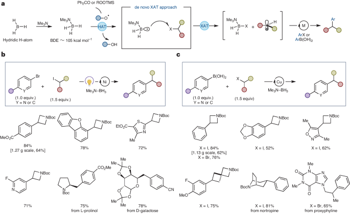Boryl radicals facilitate C(sp2)–C(sp3) cross-coupling reactions | Nature Synthesis
