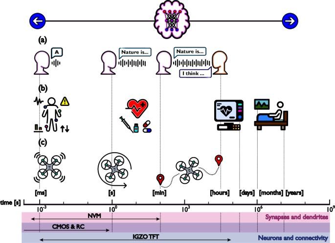 A tunable multi-timescale Indium-Gallium-Zinc-Oxide thin-film transistor neuron towards hybrid ...