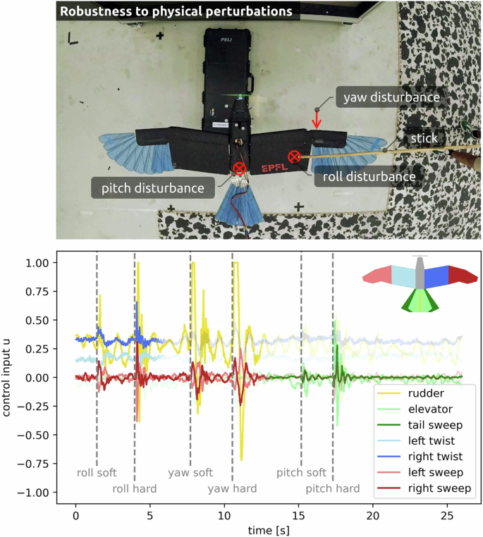 Adaptive morphing of wing and tail for stable, resilient, and energy ...