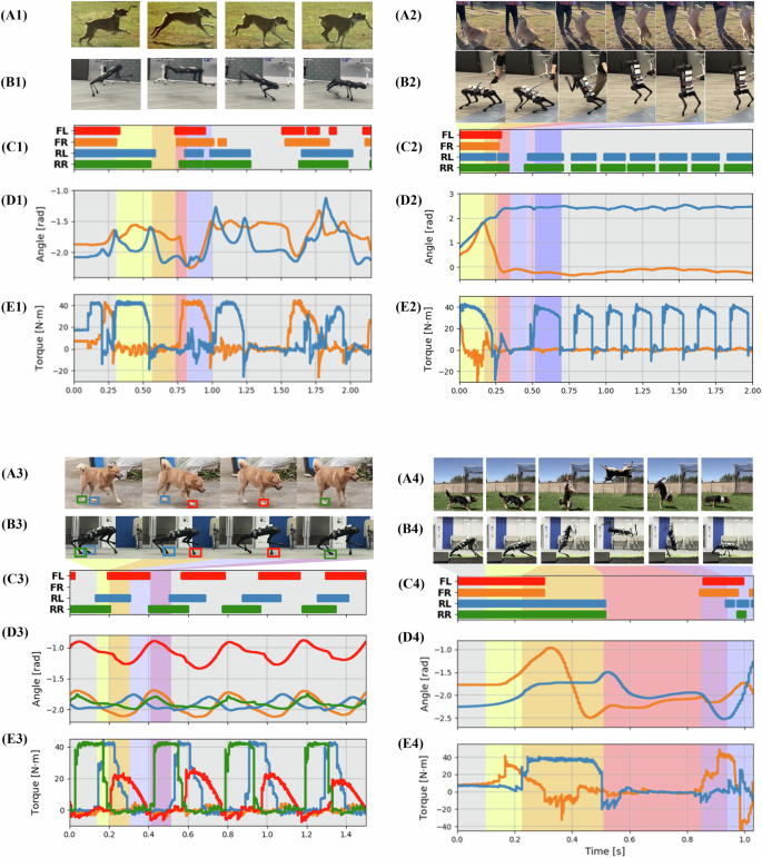 Learning aggressive animal locomotion skills for quadrupedal robots ...